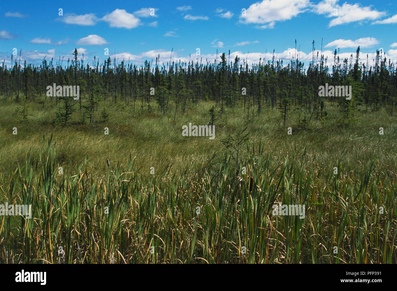 Mesabi range hi-res stock photography and images - Alamy