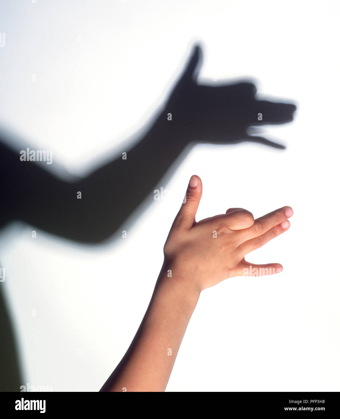 Hand making dog shape reflected as shadow on wall Stock Photo - Alamy