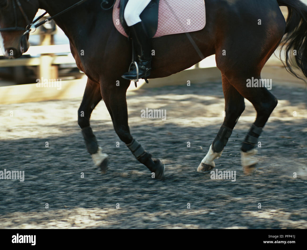 Feet Horse Rider High Resolution Stock Photography and Images - Alamy