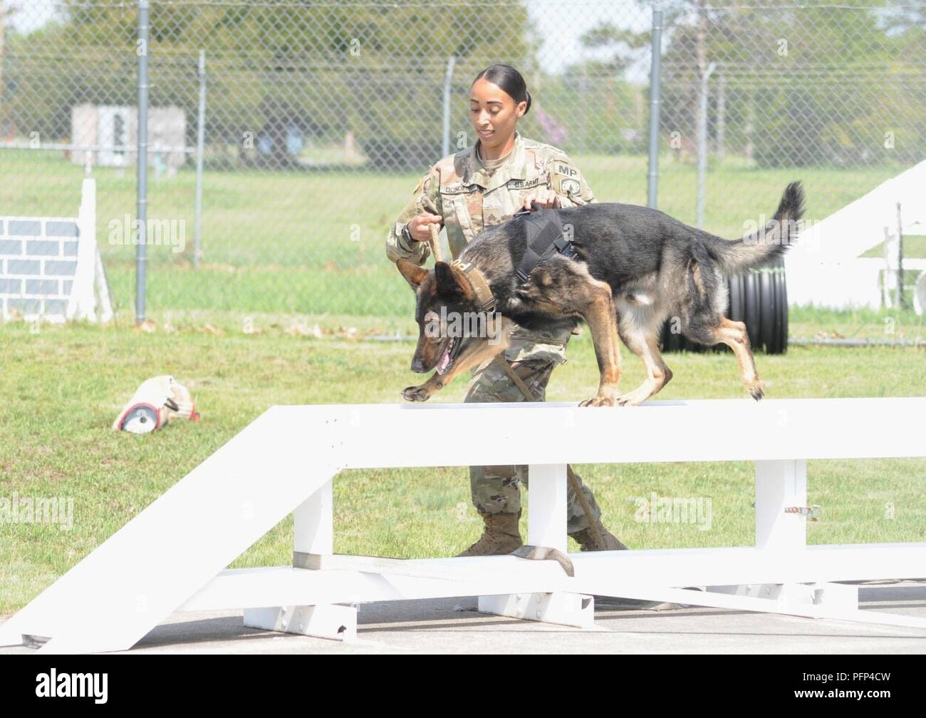 8th military working dog detachment hi-res stock photography and images ...