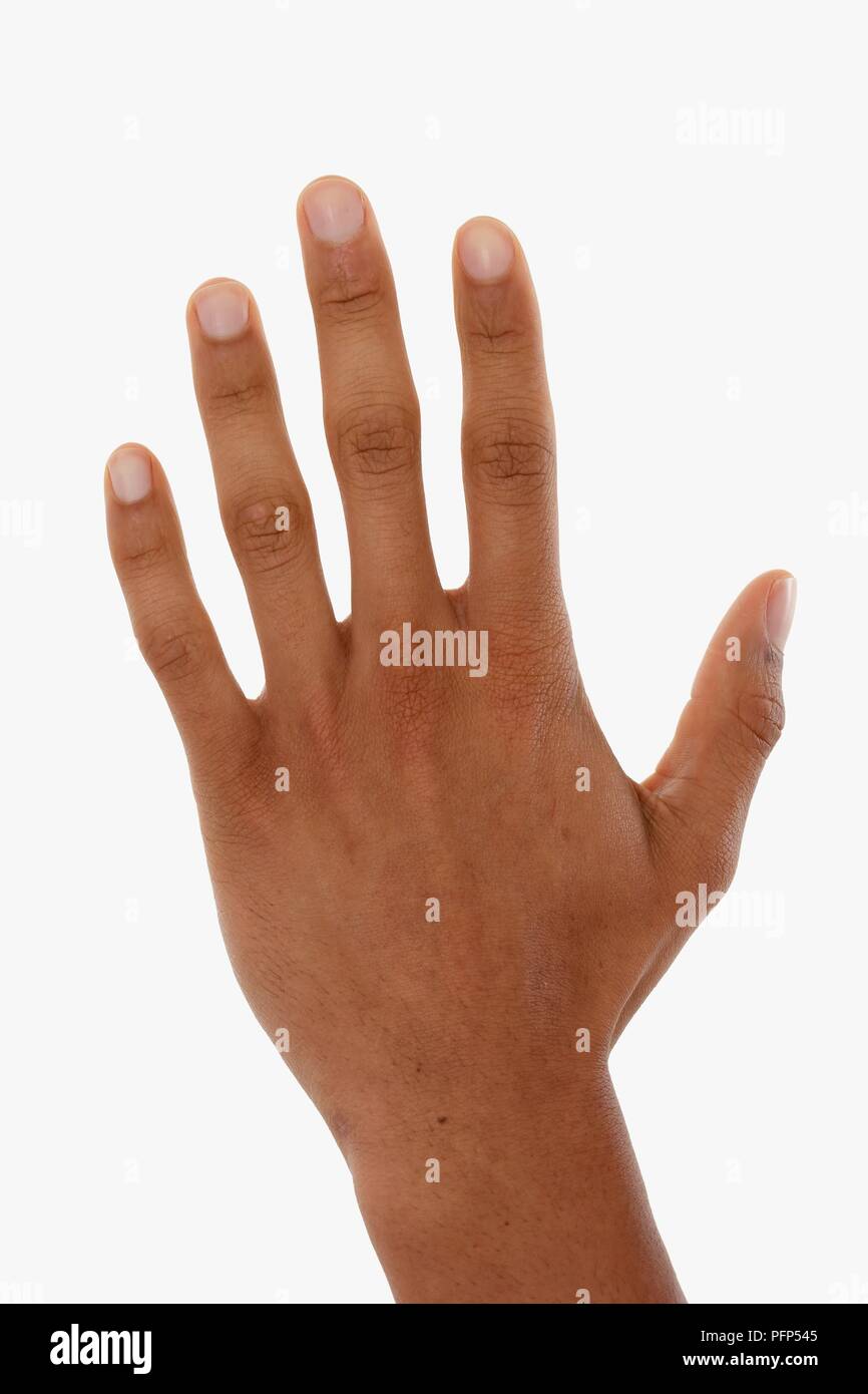 Hand series hi-res stock photography and images - Alamy