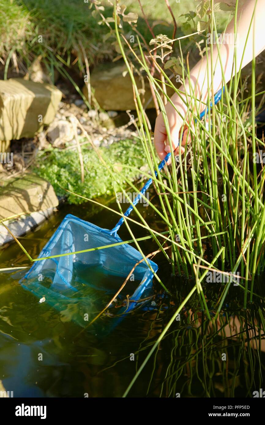 Girl's hand holding fishing net in pond Stock Photo - Alamy