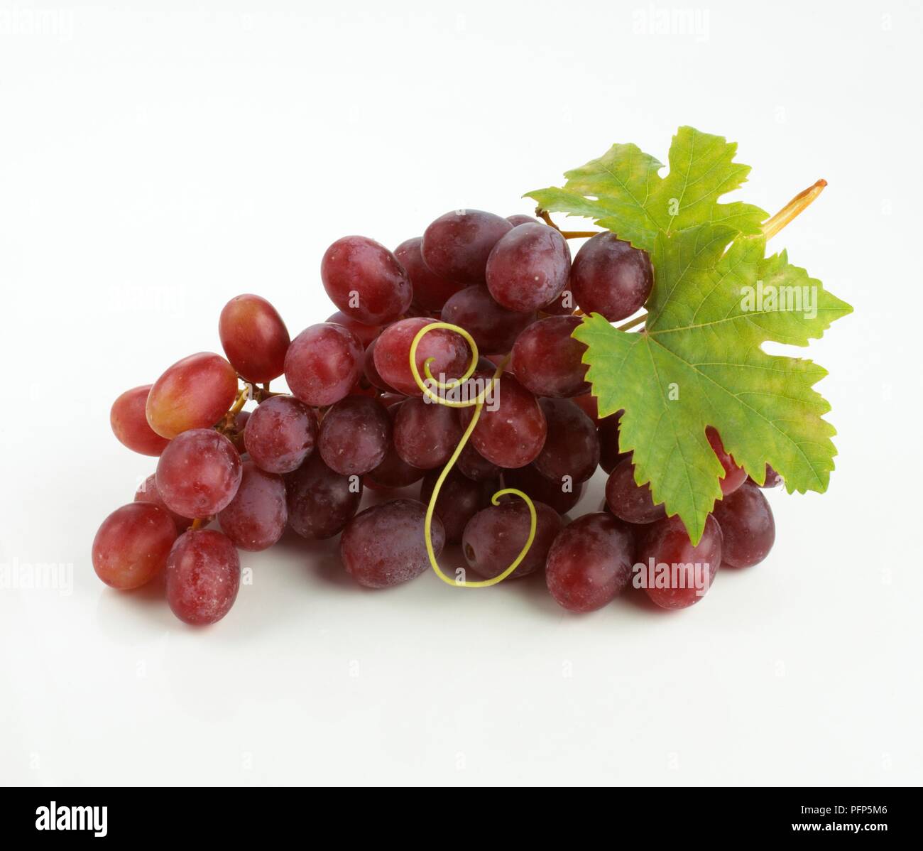 Bunch of red grapes with green leaves attached to stem Stock Photo - Alamy