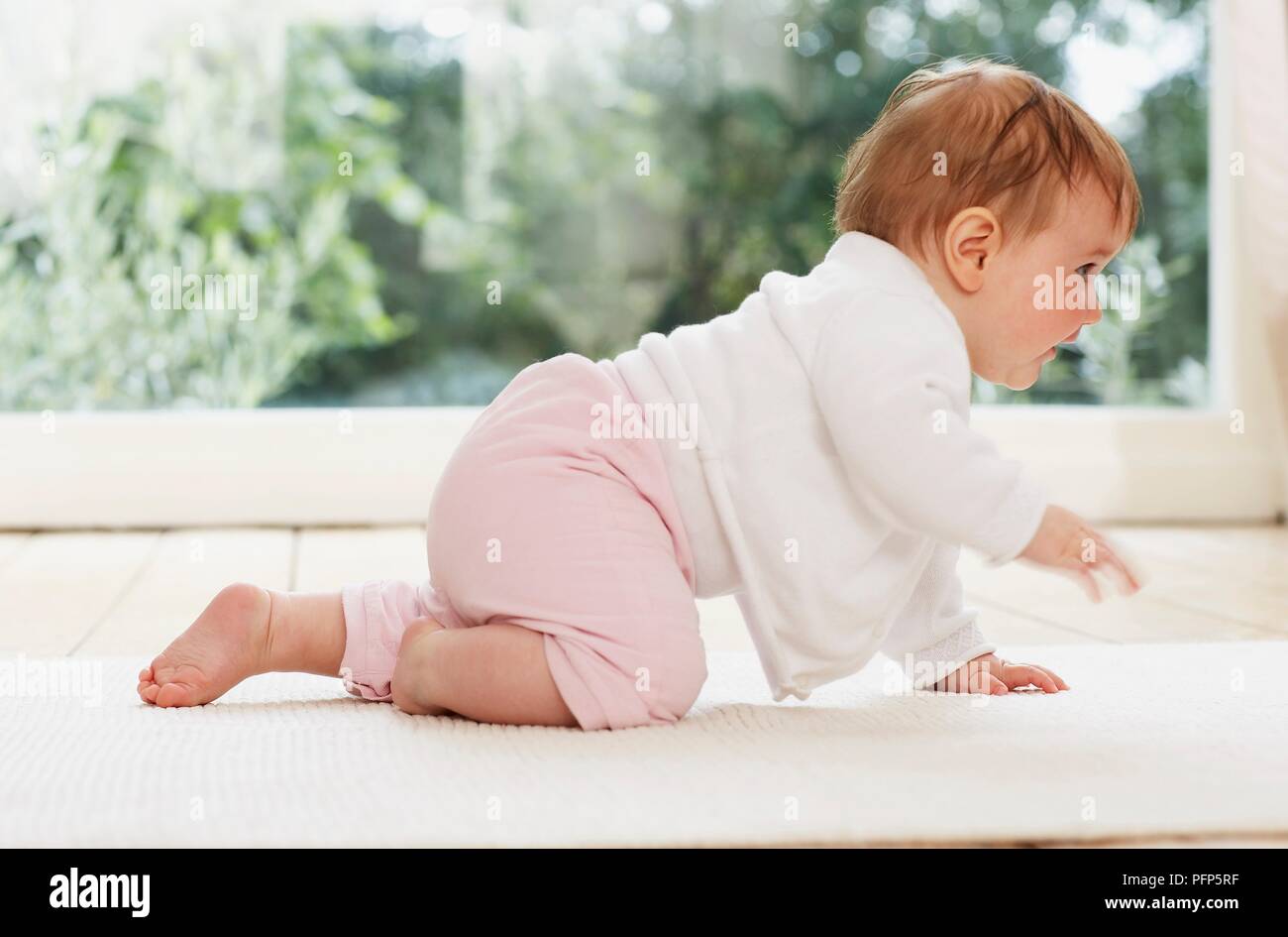 Baby girl on all fours, side view Stock Photo - Alamy