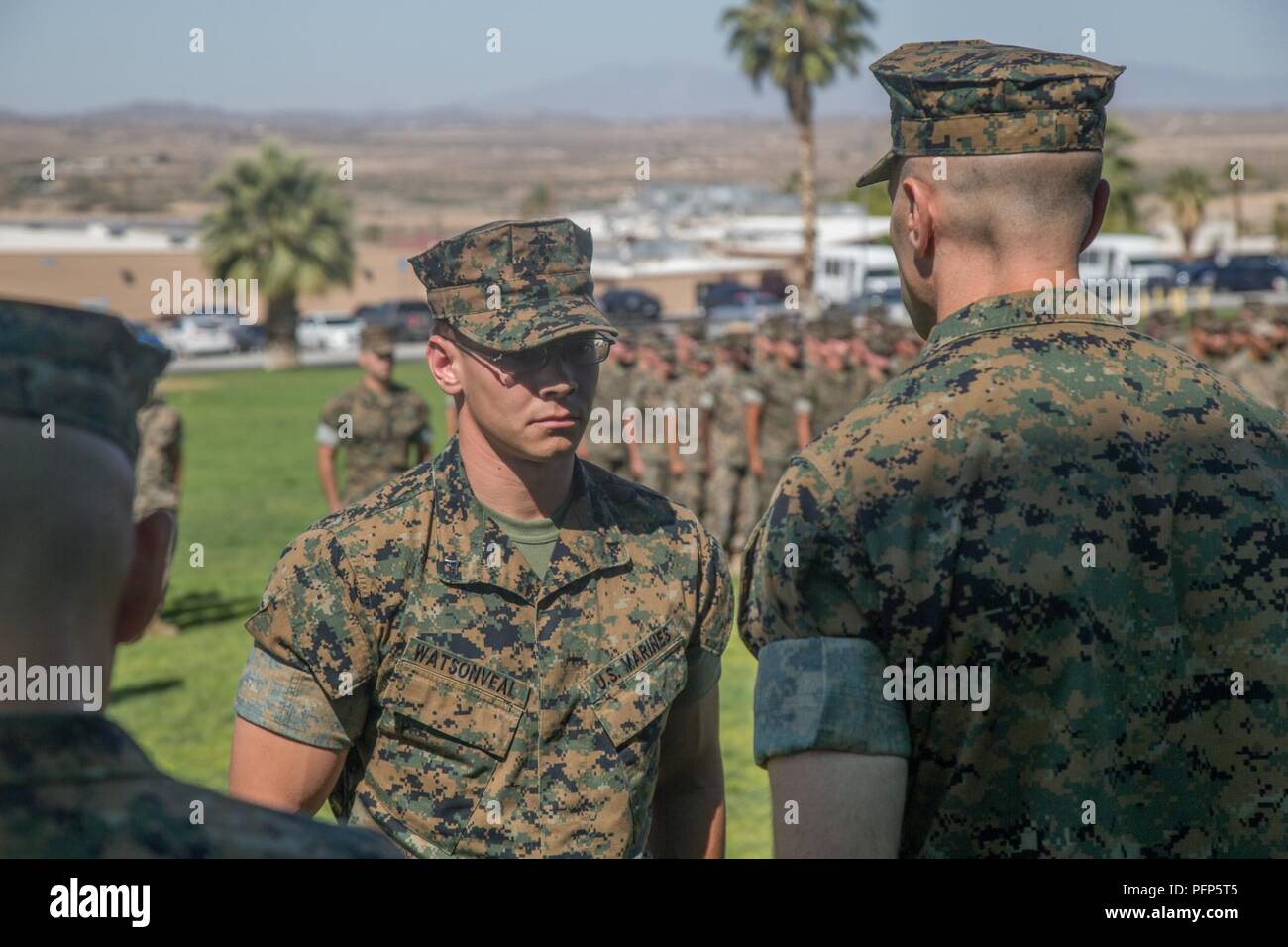 Lance Cpl. Tucker Watson-Veal, scout, 3rd Light Armored Reconnaissance ...