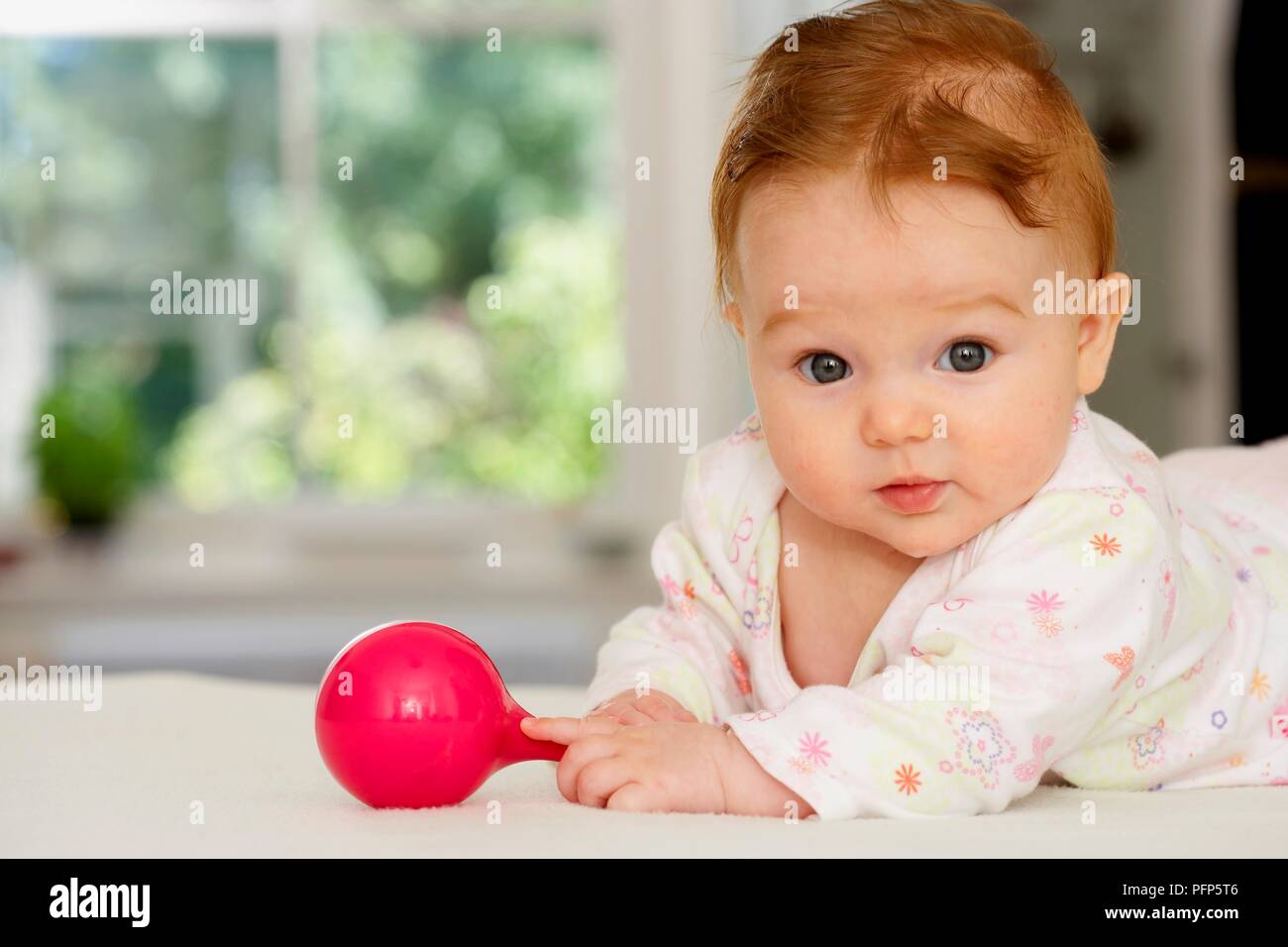 Baby girl lying on front holding rattle, looking at camera Stock Photo ...