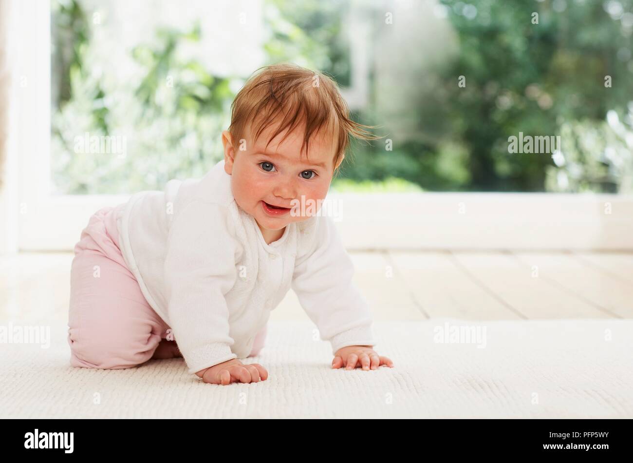 Baby girl on all fours, looking at camera Stock Photo - Alamy