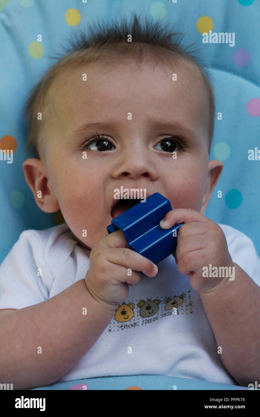 Baby boy biting on a plastic toy, close-up, front view Stock Photo - Alamy