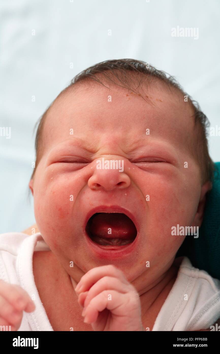 Head and shoulders of a baby girl crying, front view Stock Photo - Alamy