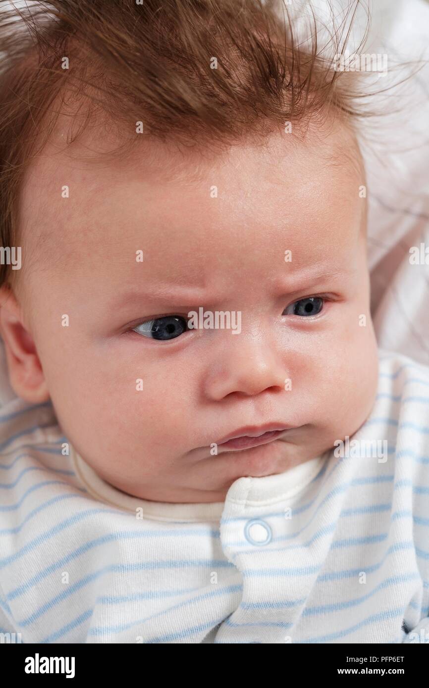 11 week old hi-res stock photography and images - Alamy