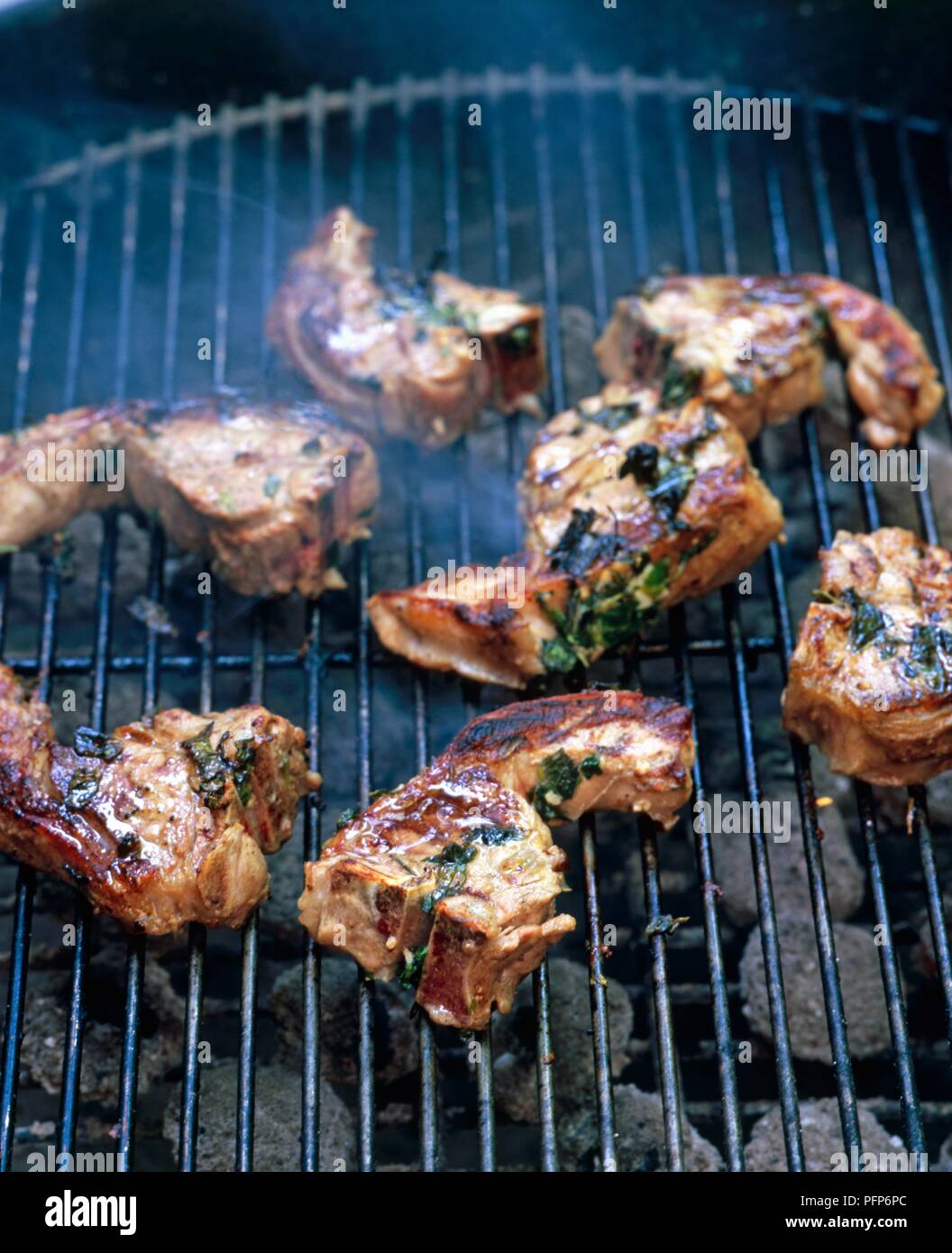 Moroccan spicy lamb chops with mint and coriander, on barbecue grill ...