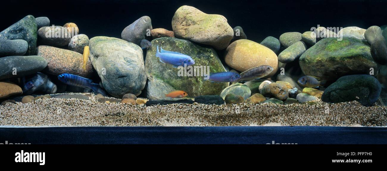 Filled with stones hi-res stock photography and images - Alamy