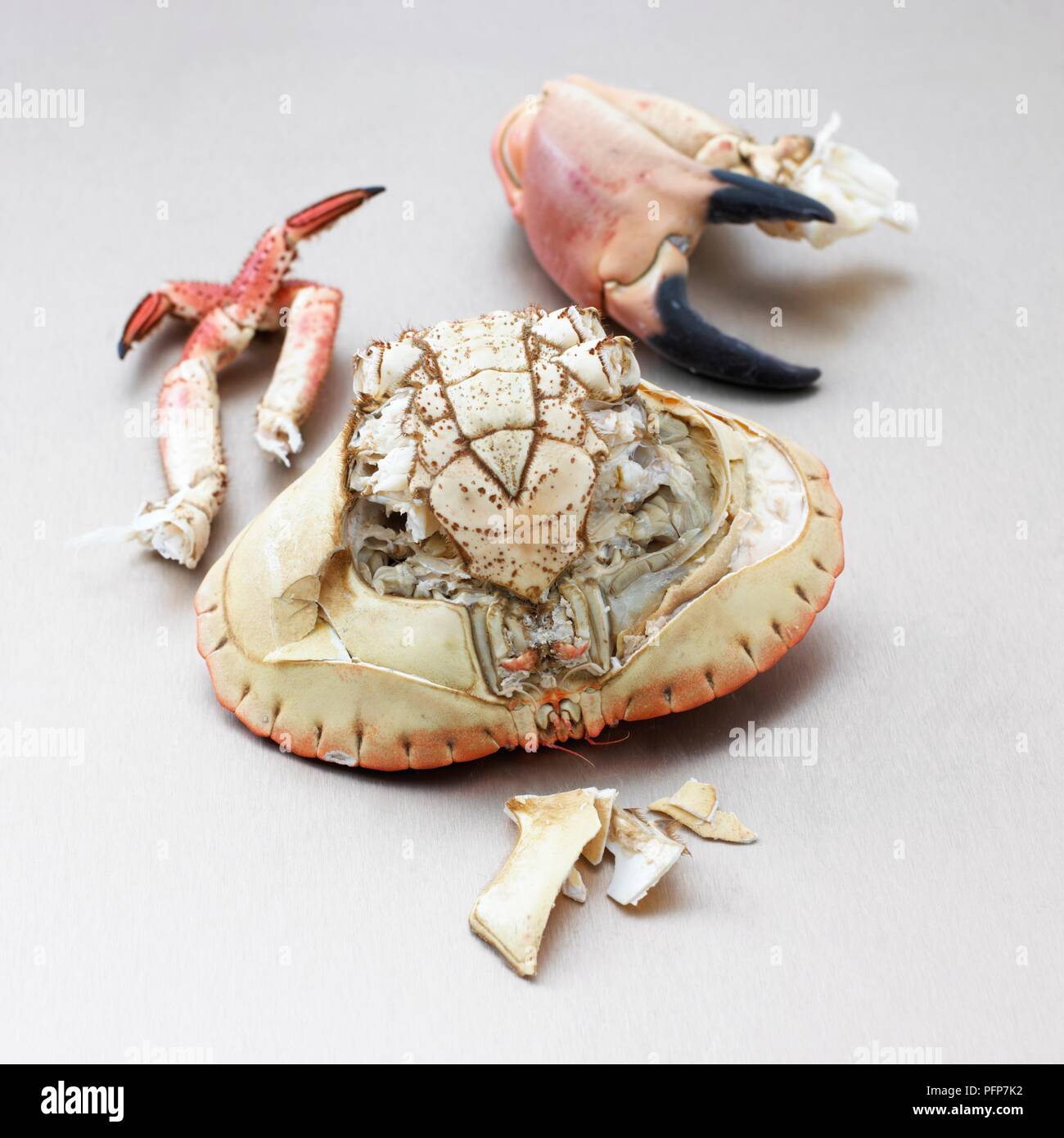 Broken crab and claw on white background, close-up Stock Photo - Alamy