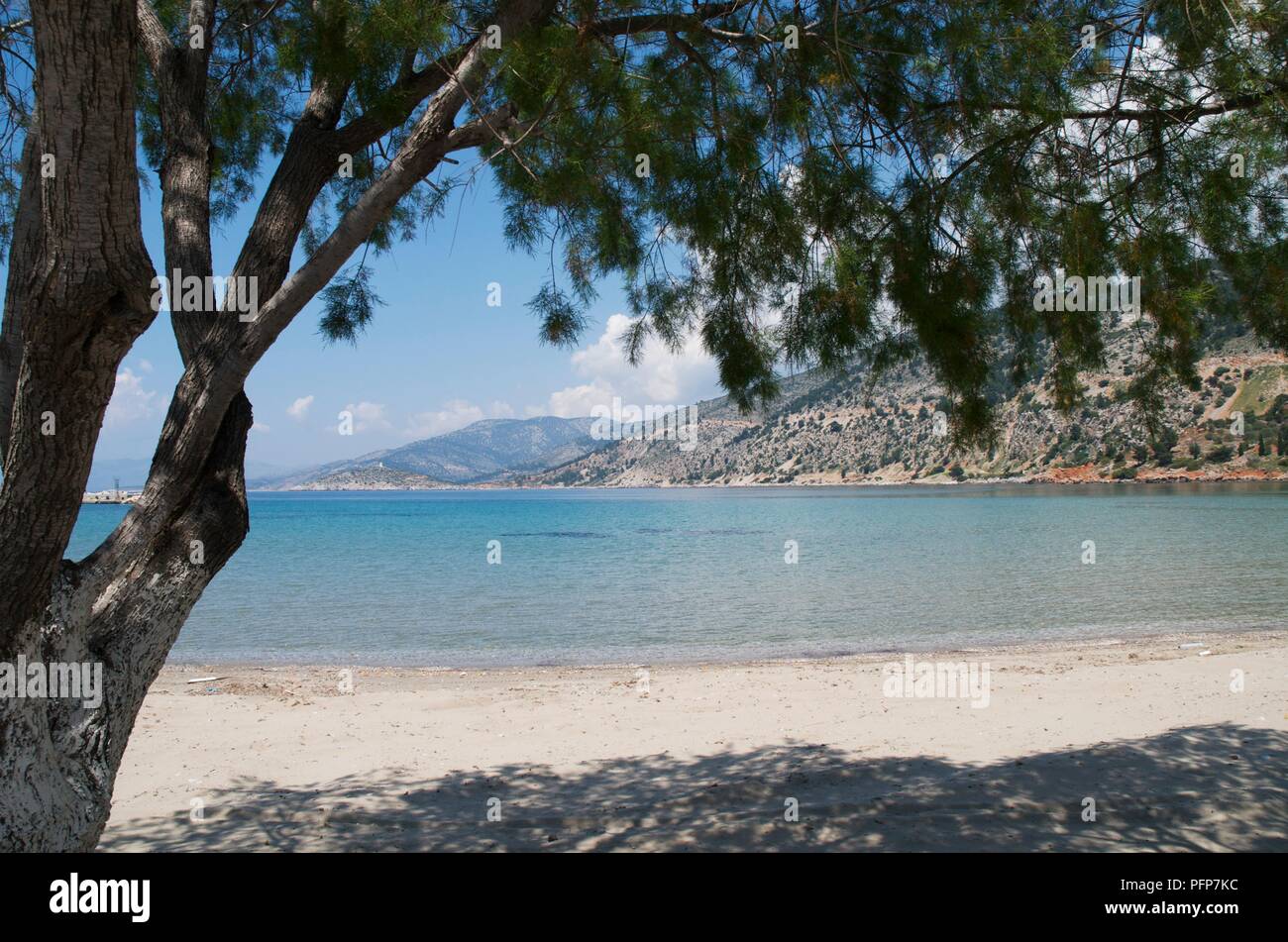 Lithi hi-res stock photography and images - Alamy