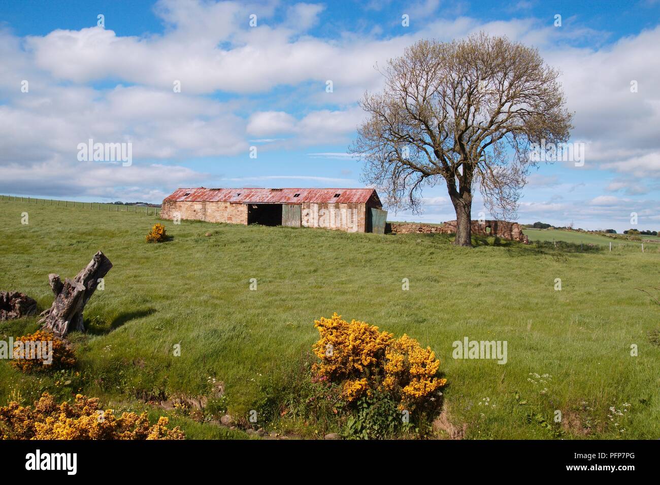 Fife scotland hill hi-res stock photography and images - Alamy