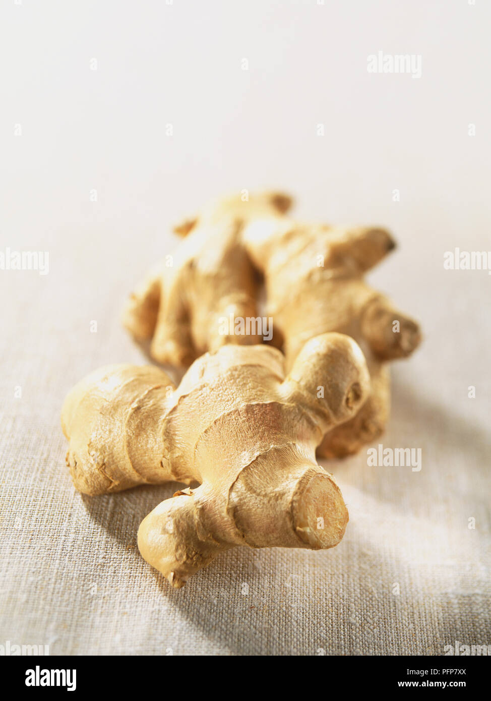 Ginger zingiber officinale rhizome studio hi-res stock photography and ...