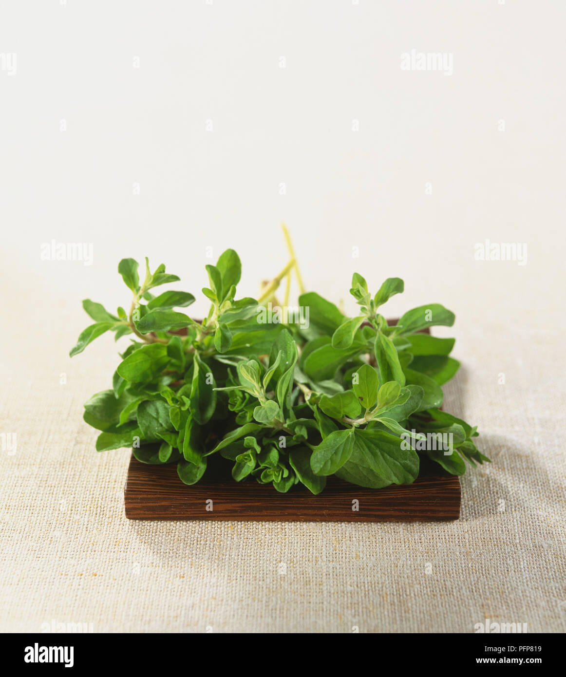 Sweet marjoram origanum majorana hi-res stock photography and images ...