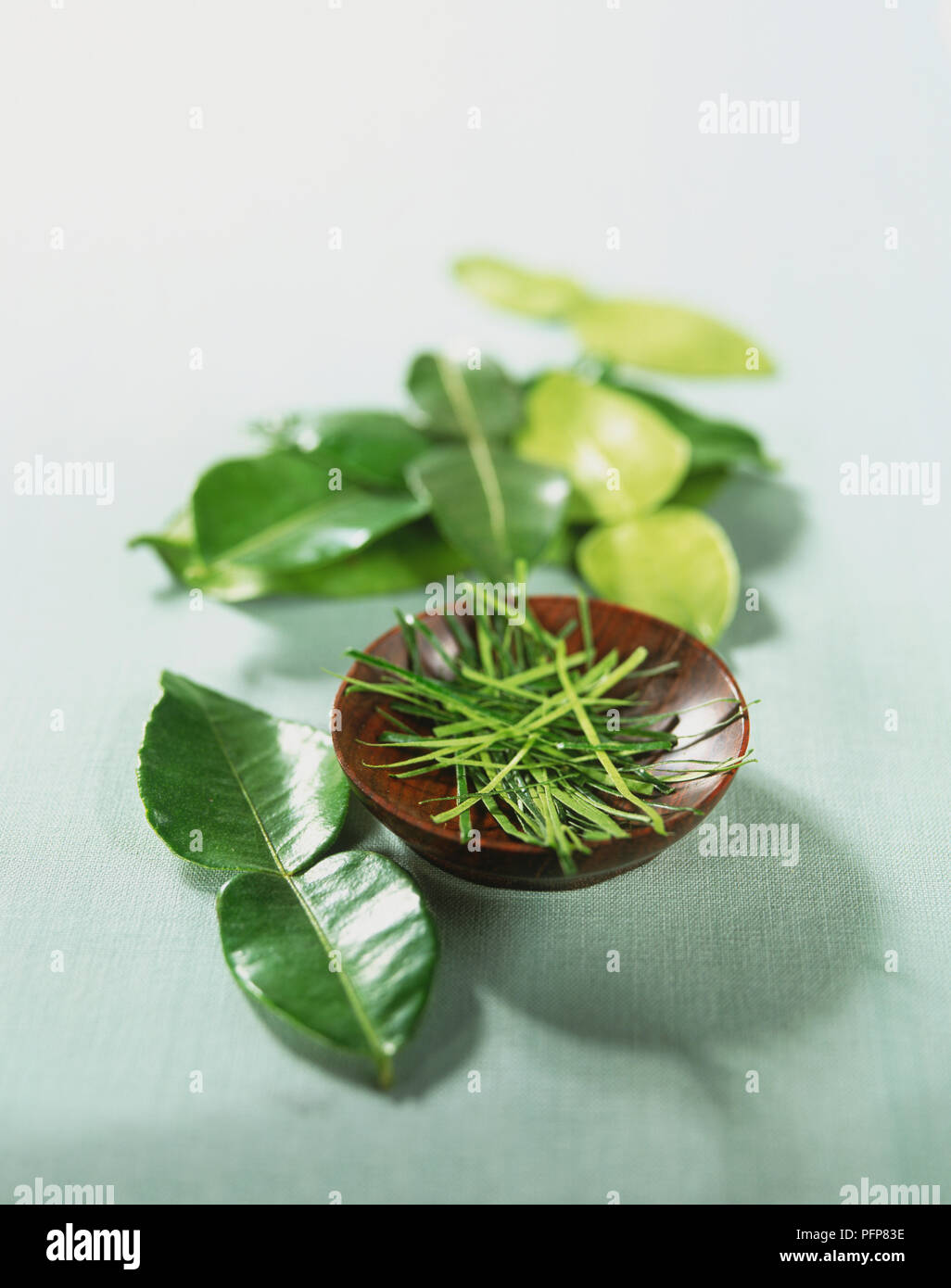 Shredded fresh leaves hi-res stock photography and images - Alamy