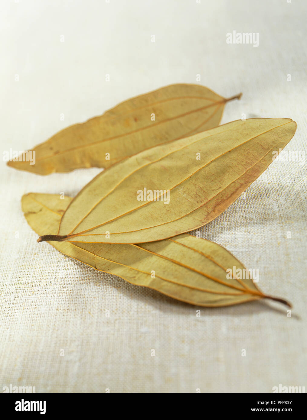 Malabathrum hi-res stock photography and images - Alamy