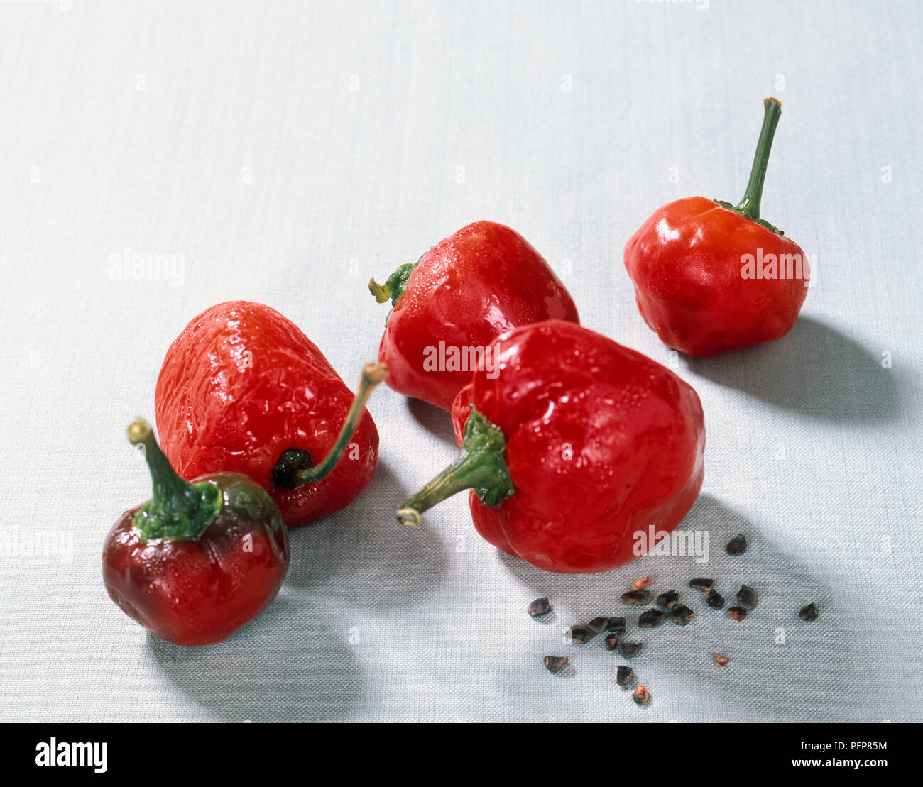 Capsicum pubescens (Rocoto), red chilli peppers and seeds, close-up ...