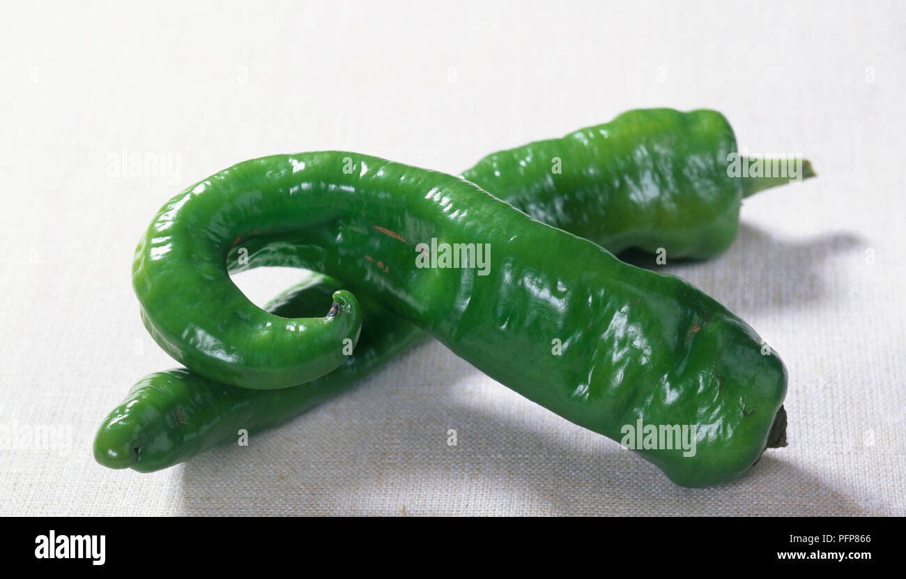 Capsicum annuum (Green Chilli Peppers Stock Photo - Alamy