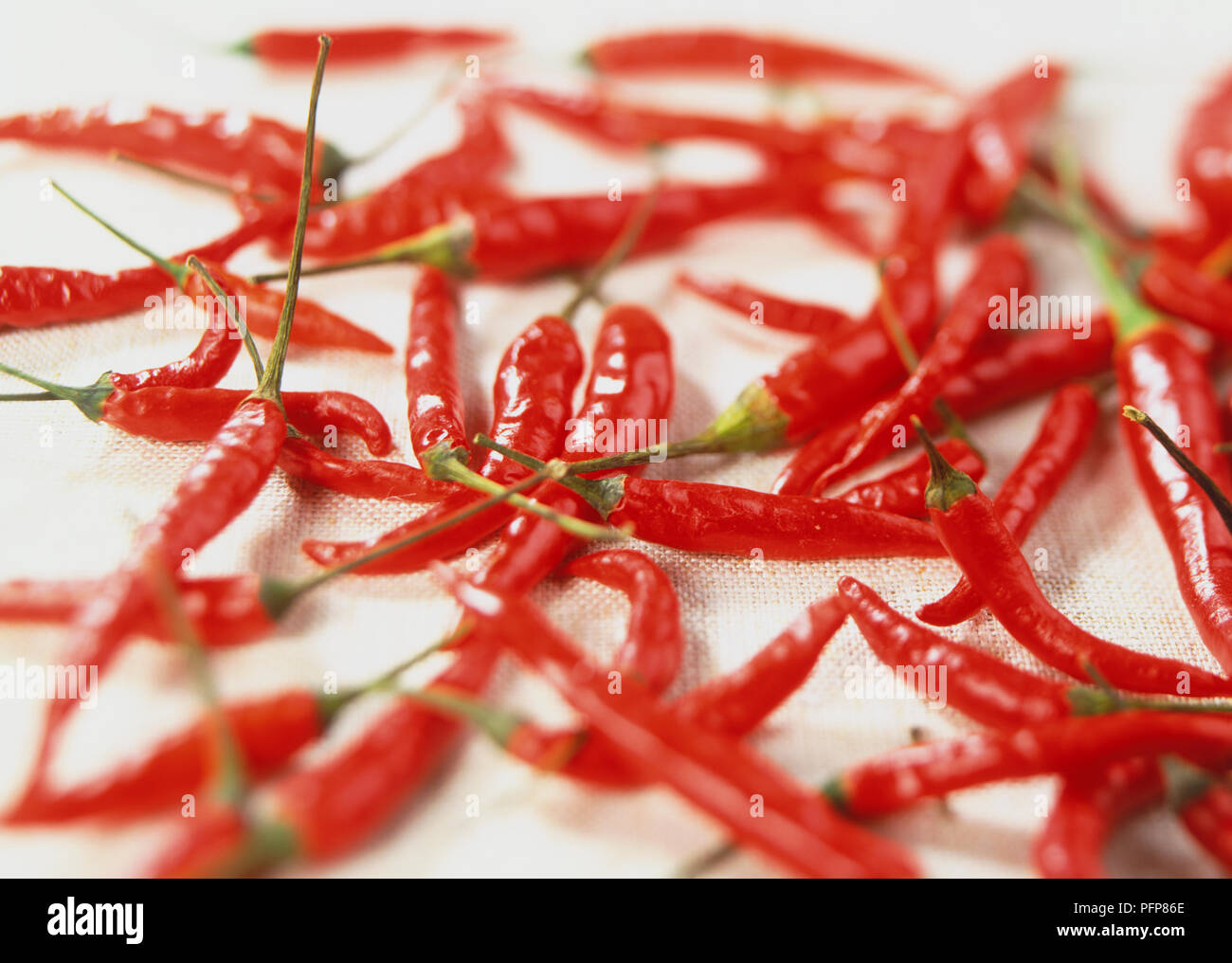 Capsicum annuum asian hi-res stock photography and images - Alamy