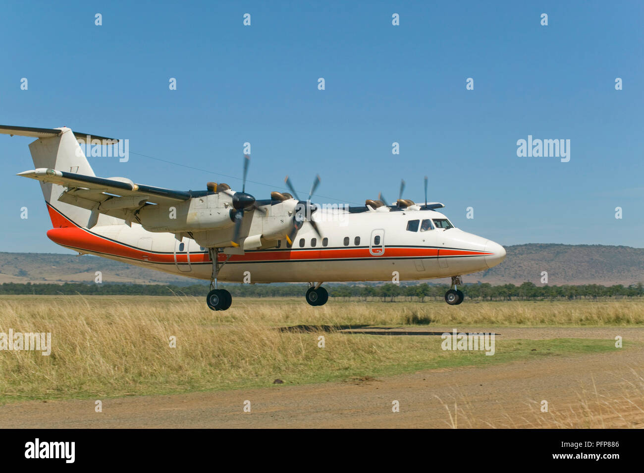 Kenya, Masai Mara National Reserve, Air Kenya propeller aircraft coming ...
