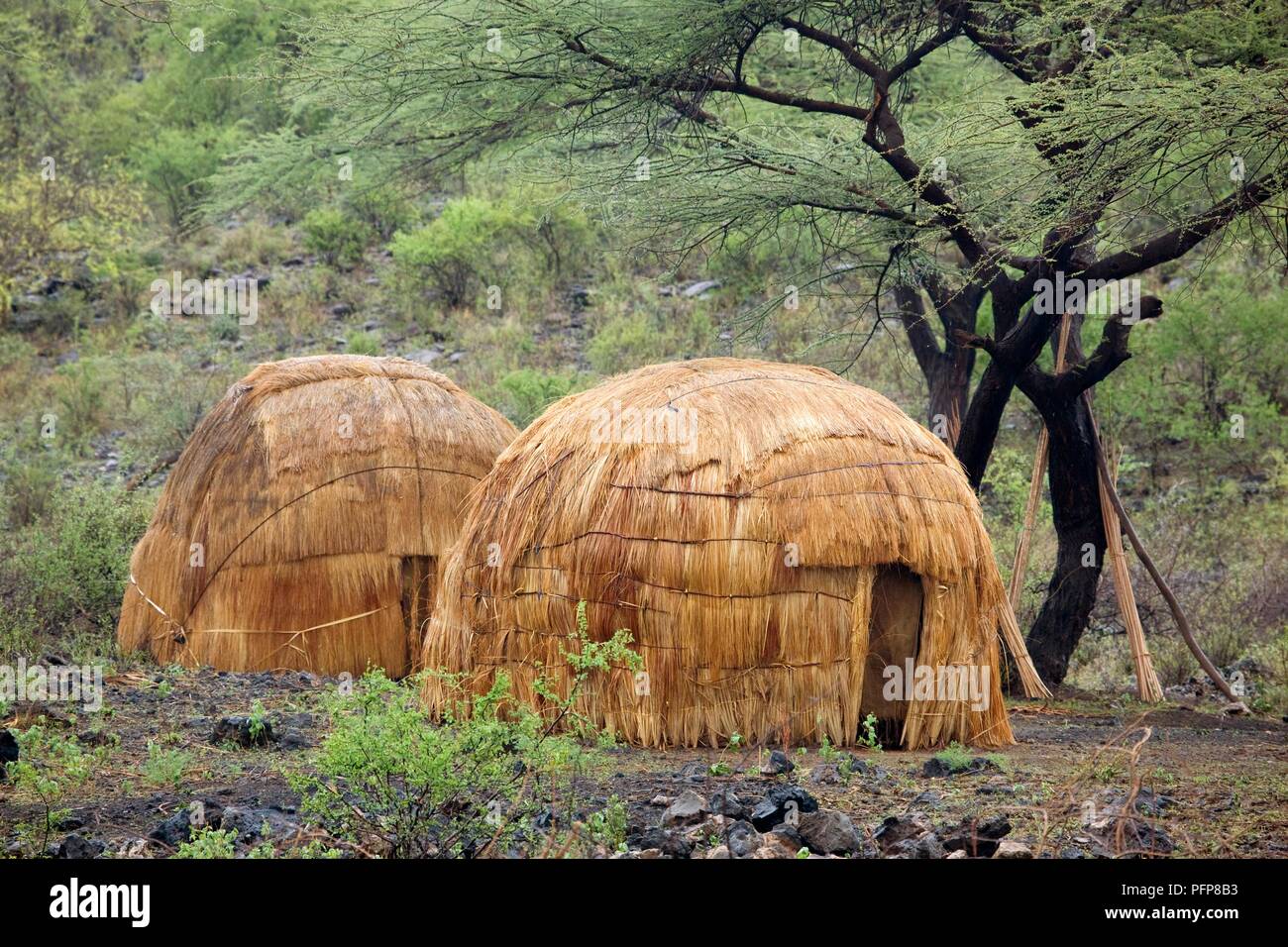 Borana kenya hi-res stock photography and images - Alamy