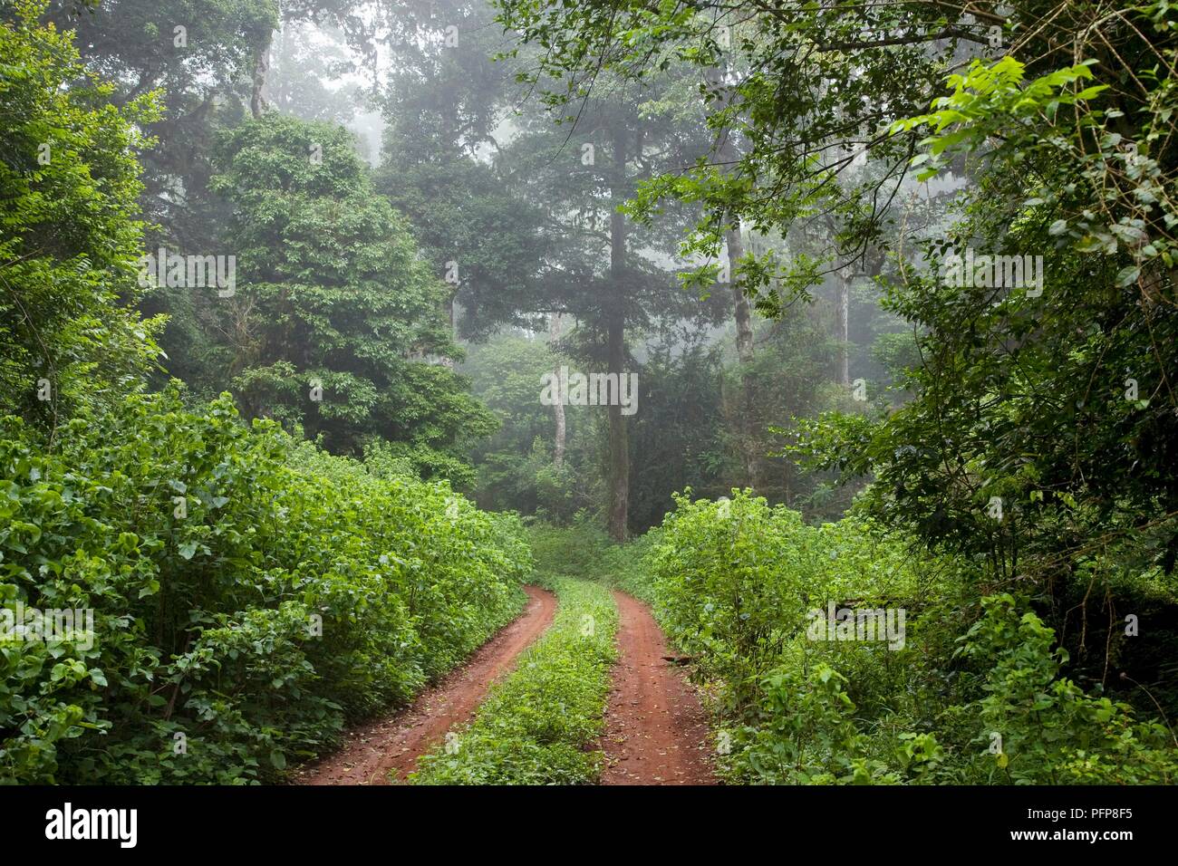 Marsabit national park hi-res stock photography and images - Alamy