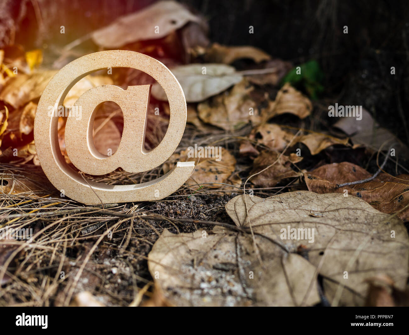 Wooden E mail Address Symbol Arroba Icon On Dry Leaves Background With wooden-e-mail-address-symbol-arroba-icon-on-dry-leaves-background-with