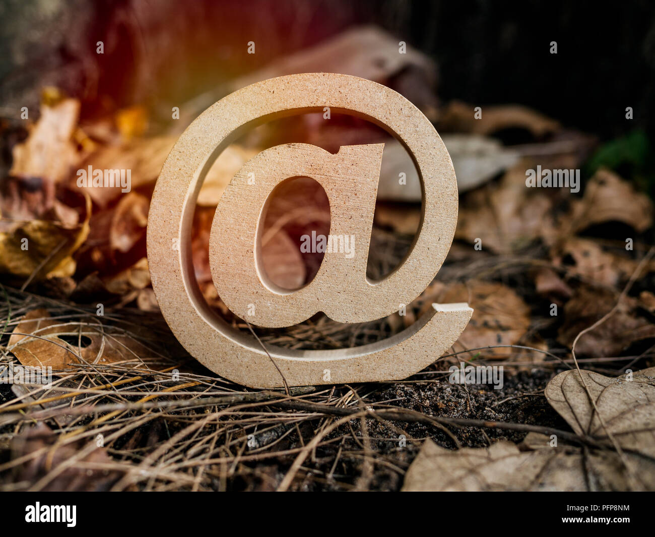 Wooden E mail Address Symbol Arroba Icon On Dry Leaves Background With wooden-e-mail-address-symbol-arroba-icon-on-dry-leaves-background-with