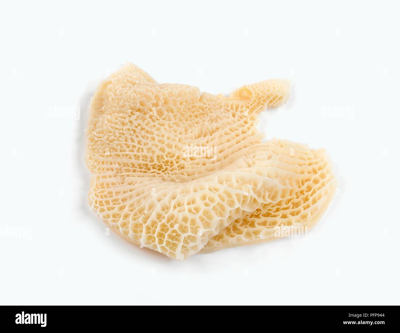Fresh honeycomb tripe Stock Photo - Alamy