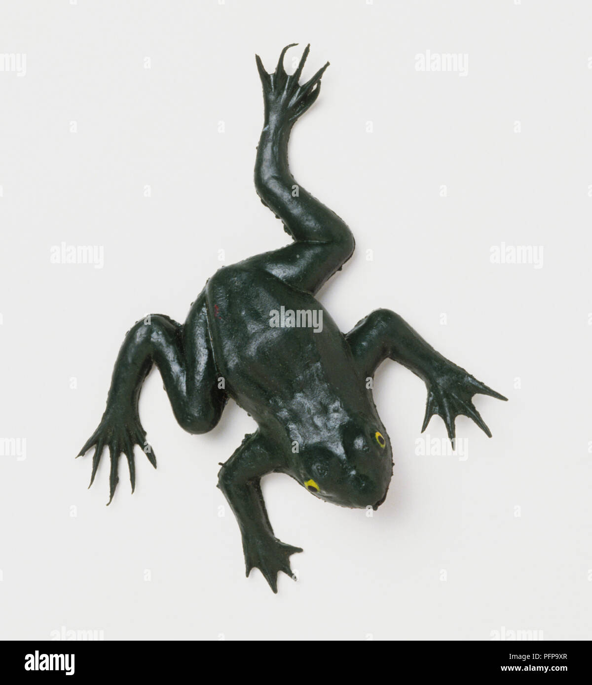 Toy plastic frog, view from above Stock Photo - Alamy