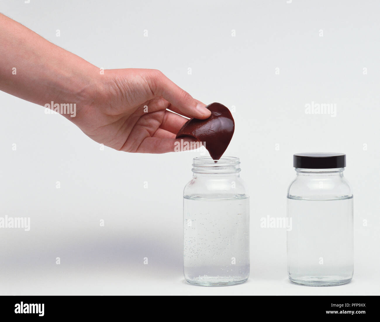 Hand putting liver into jar of clear liquid Stock Photo - Alamy