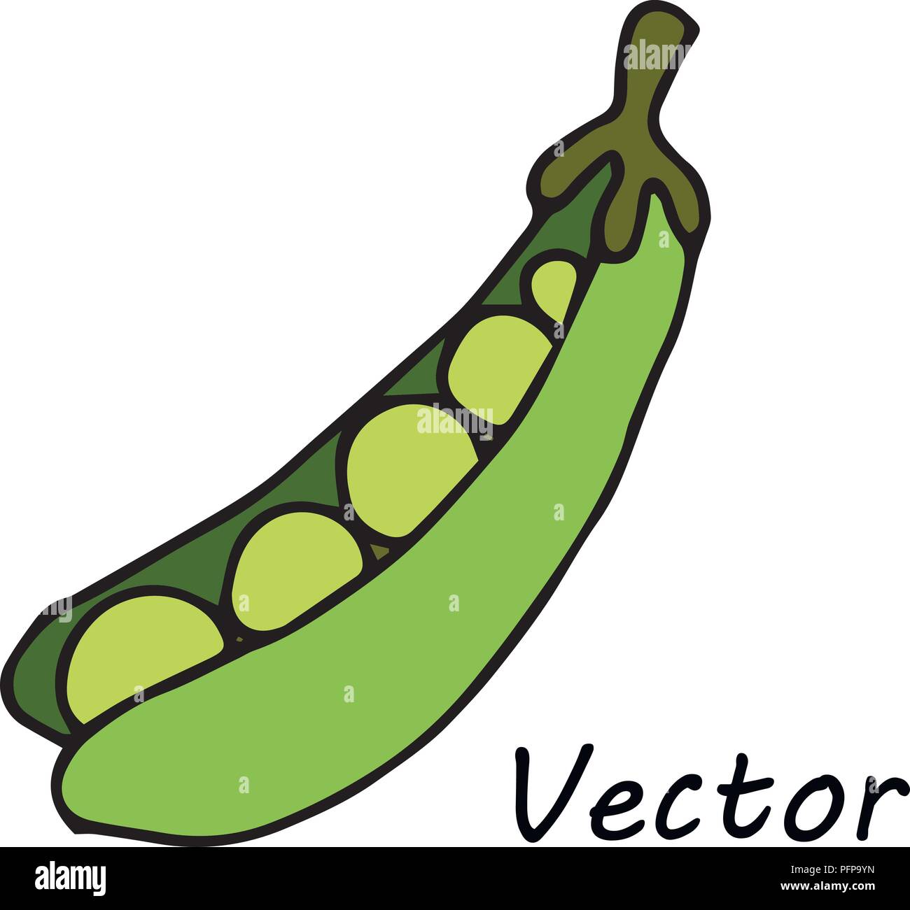 Pea Vector Vectors Stock Photos & Pea Vector Vectors Stock Images - Alamy