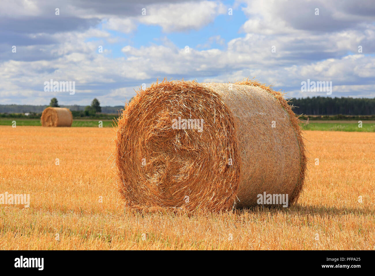 Harvest straw hi-res stock photography and images - Alamy
