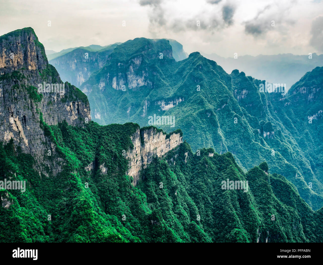 The green forest with mist and cloud of the Tianmen Mountain Known as ...