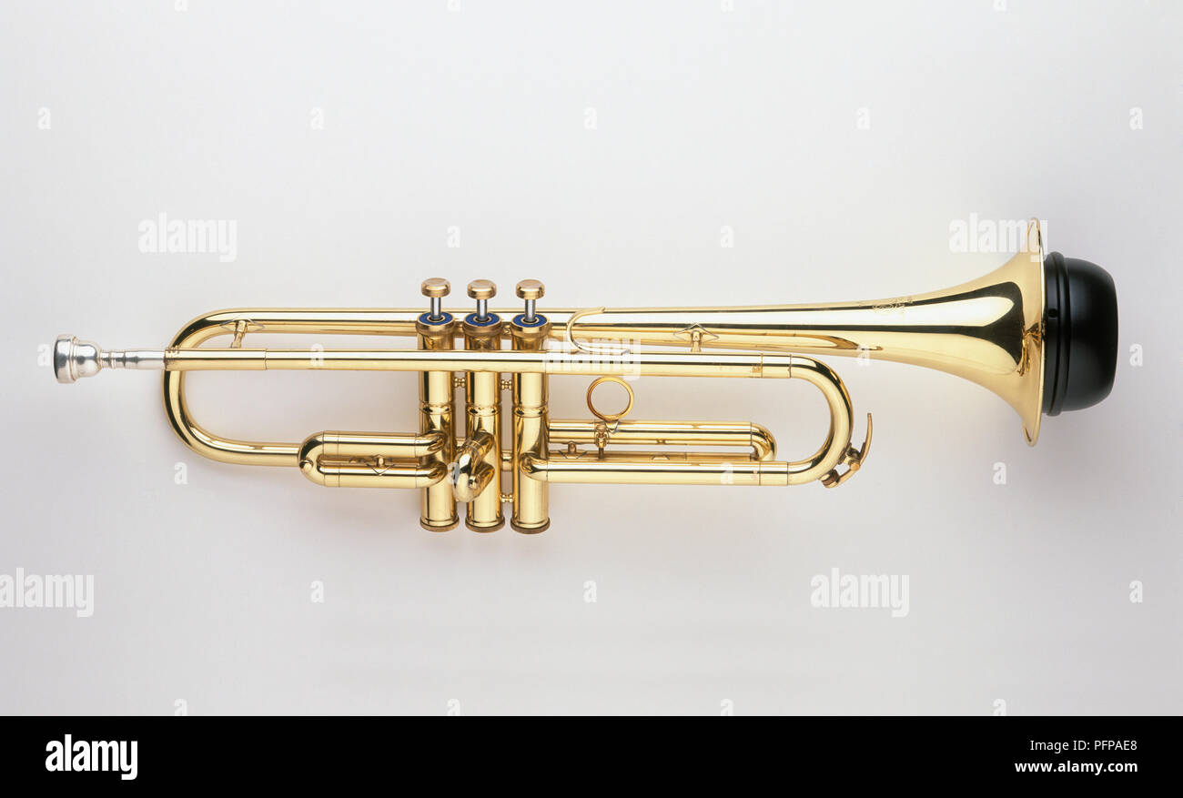 Trumpet with mute, close-up Stock Photo - Alamy
