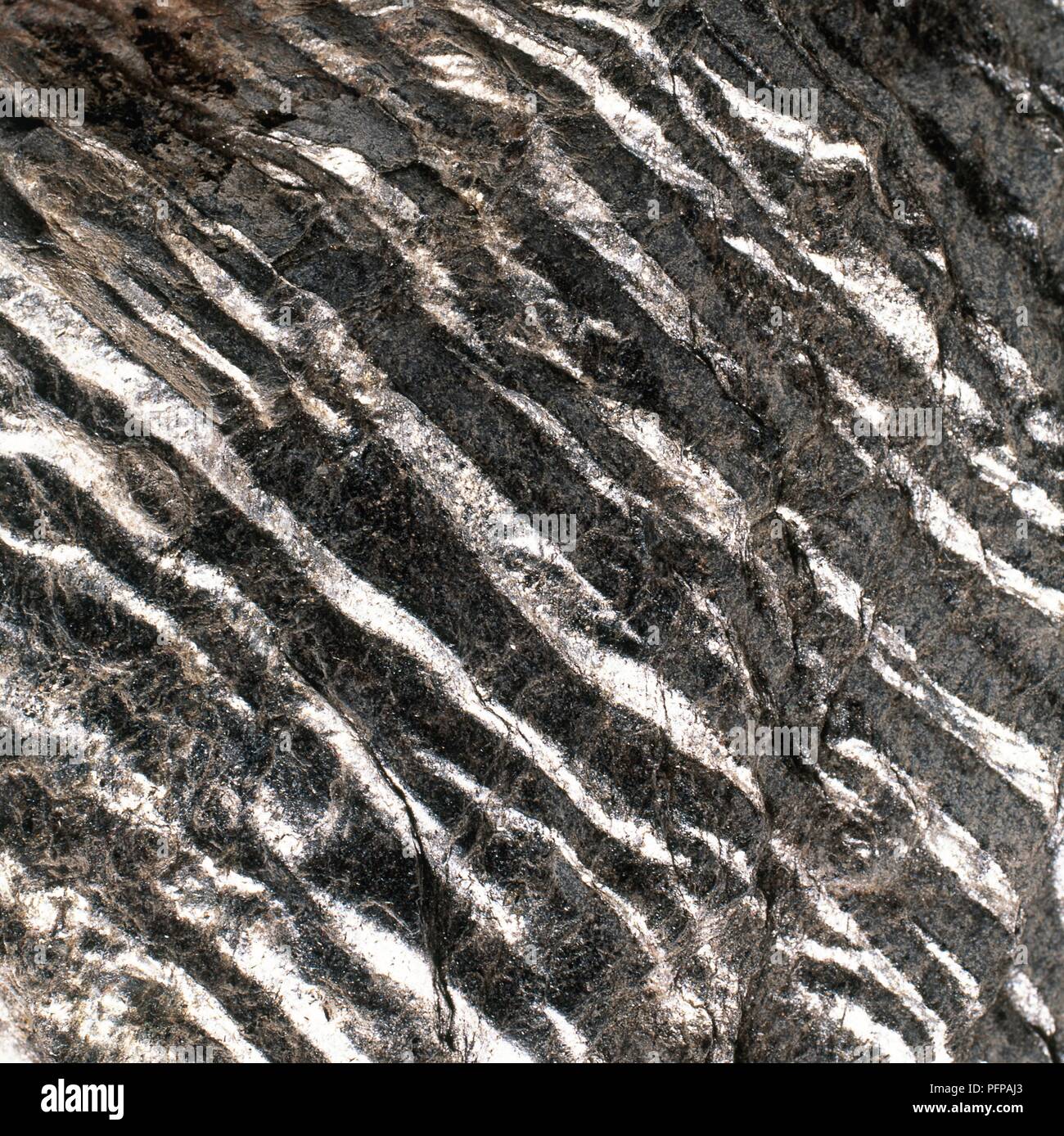 Black schist hi-res stock photography and images - Alamy