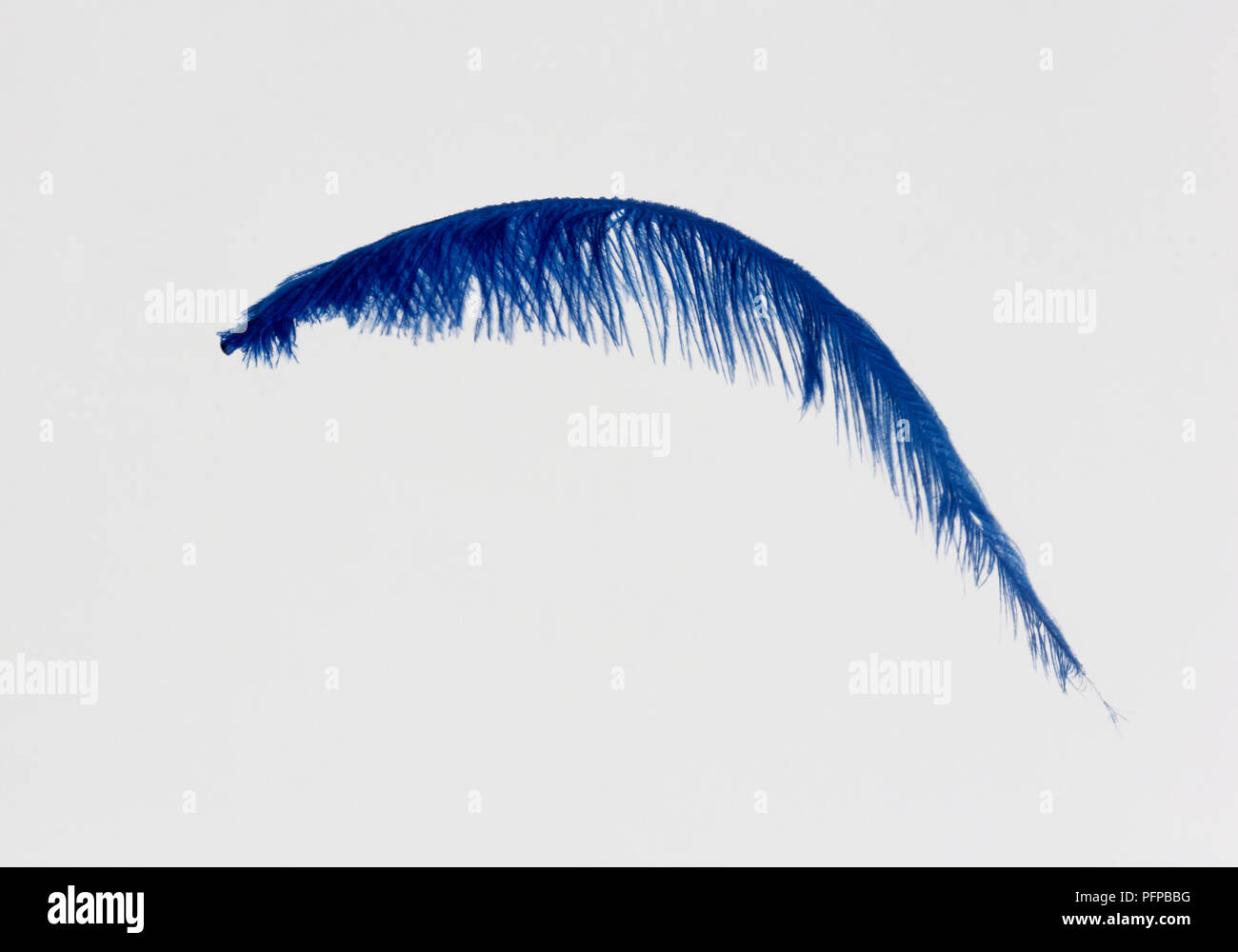 Blue feather, falling, side view Stock Photo - Alamy