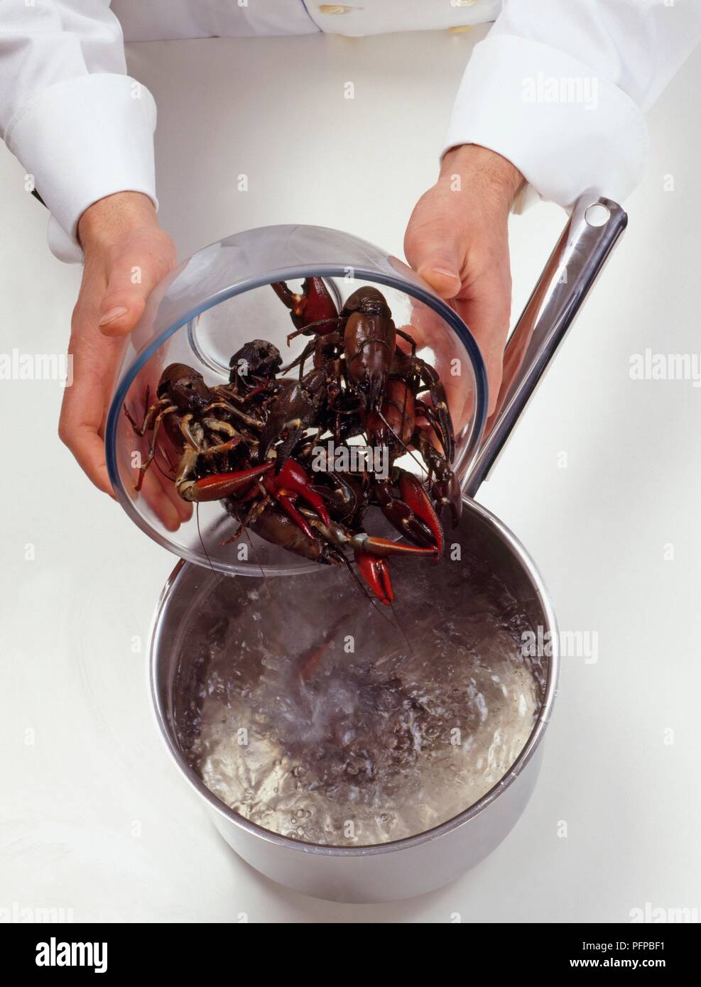 Human hand crayfish hi-res stock photography and images - Alamy