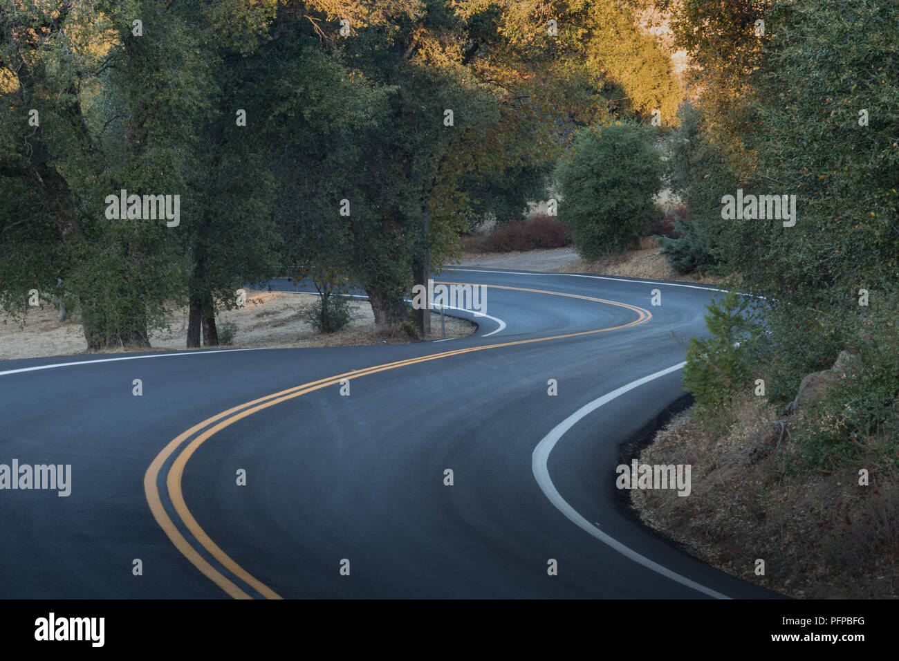 Paved nature drive hi-res stock photography and images - Alamy