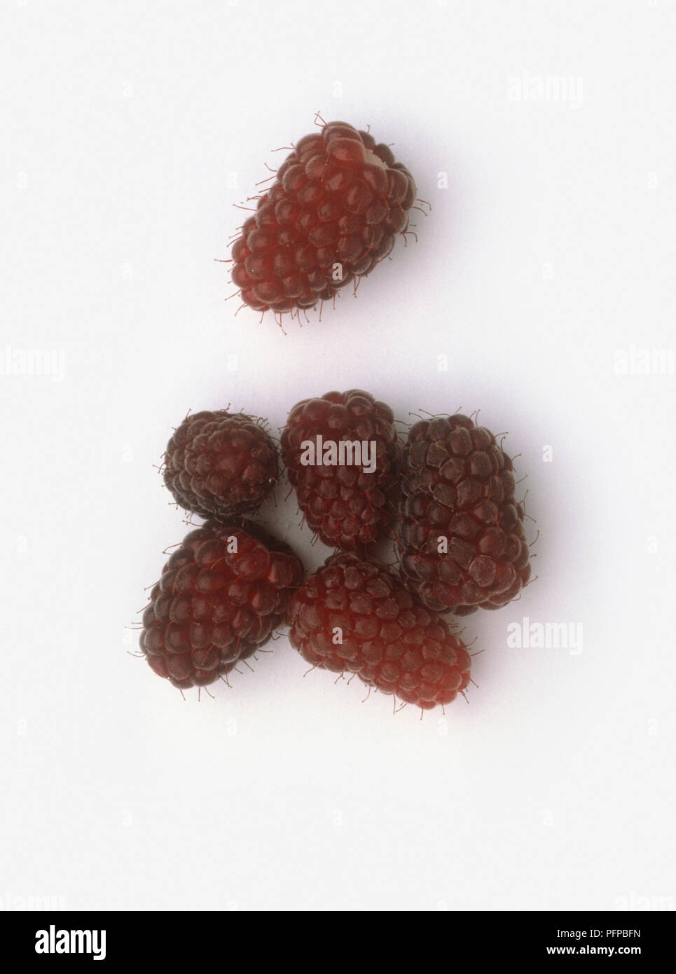 Loganberry hi-res stock photography and images - Alamy