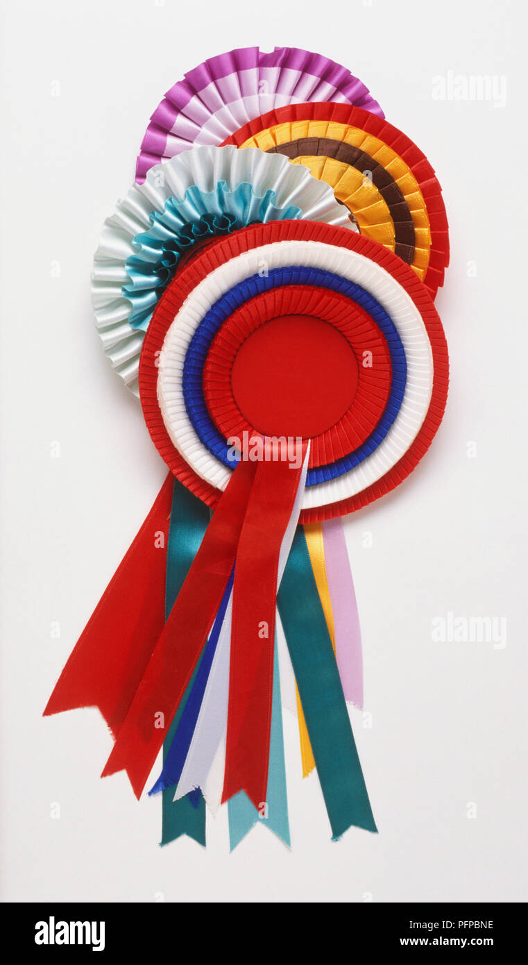 Rosettes for cat breeders Stock Photo - Alamy