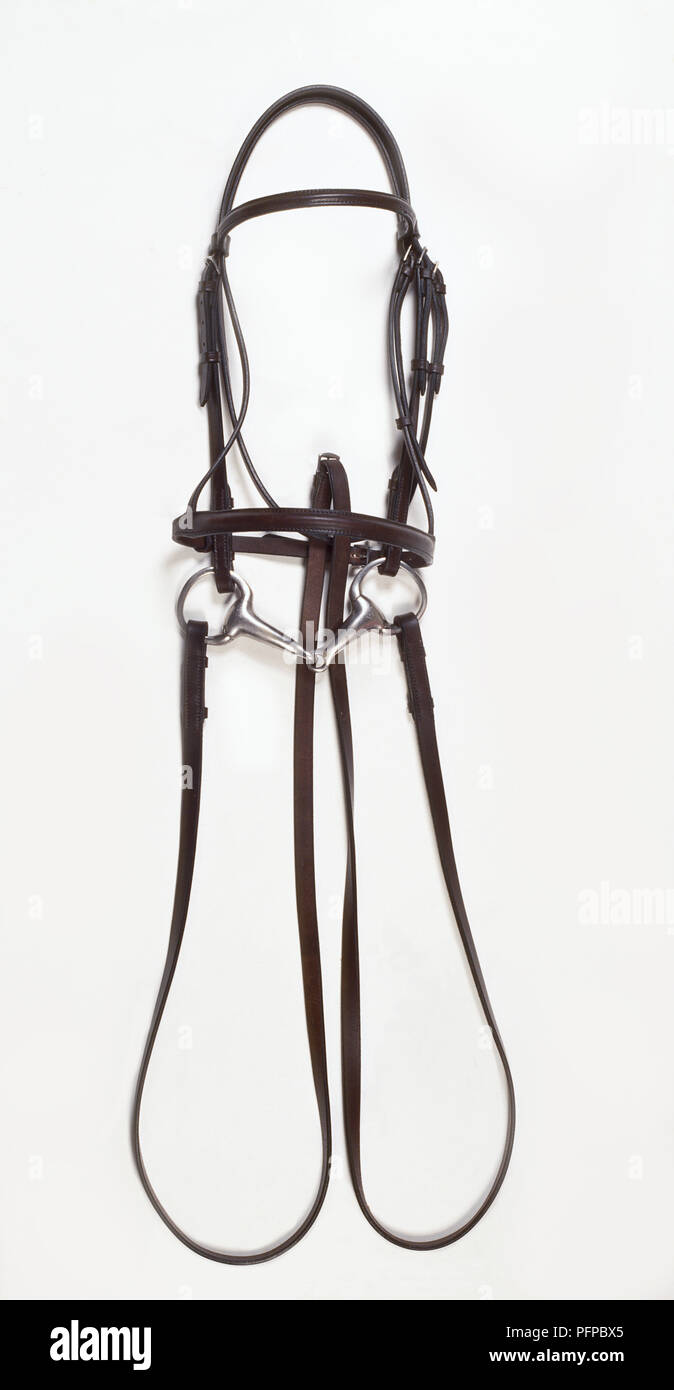 Bridle strap hi-res stock photography and images - Alamy