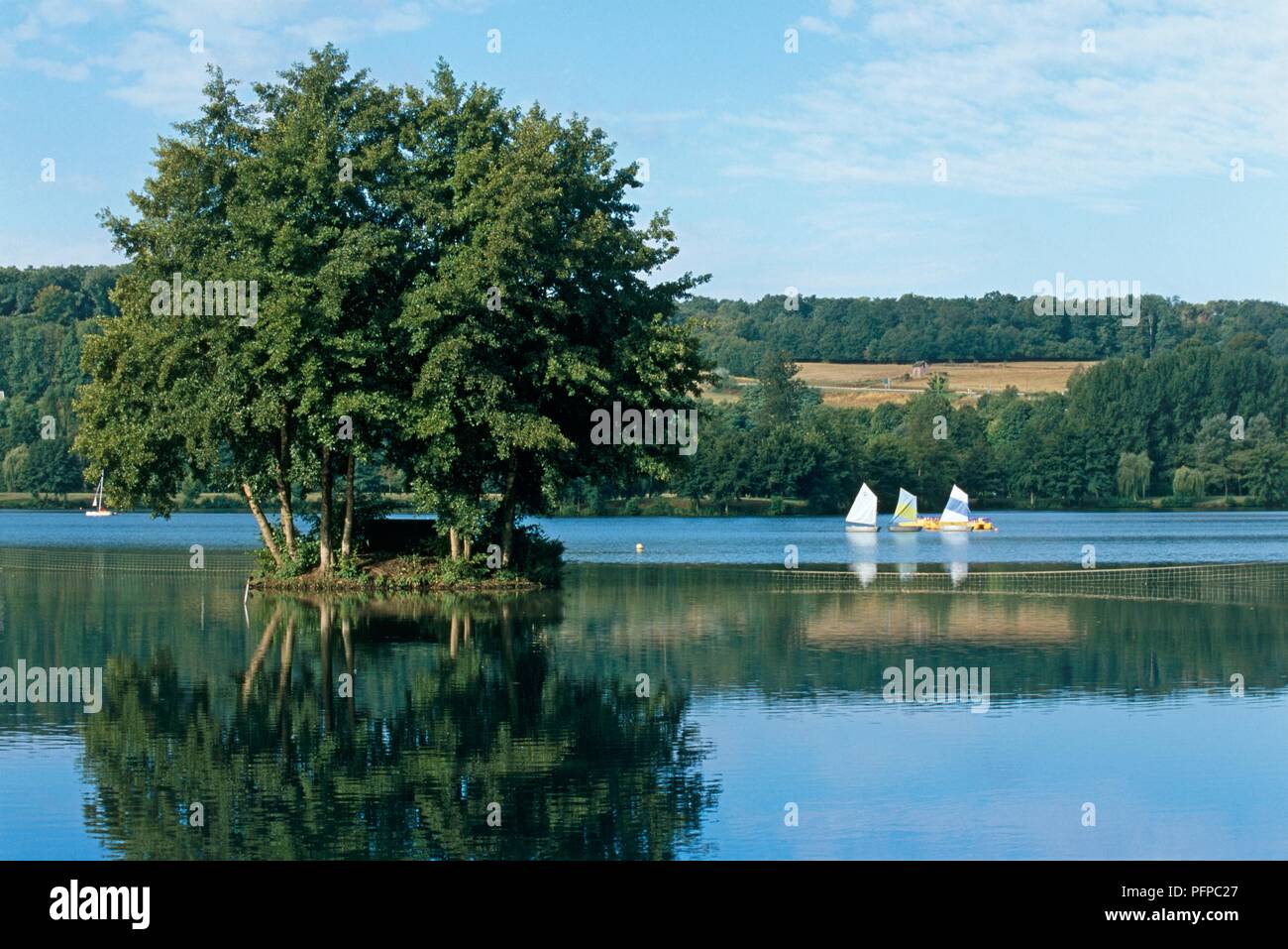 France, Normandy, River Risle, small sailing dinghies near a tree ...