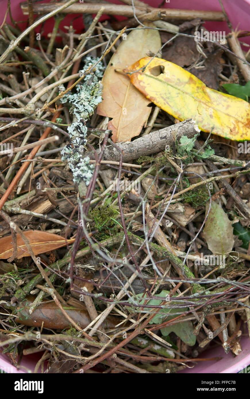 Leaves in compost bin hi-res stock photography and images - Alamy