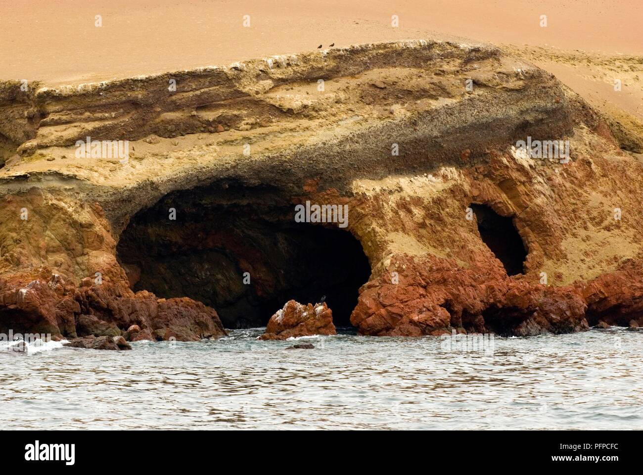Paracas national reserve peru hi-res stock photography and images - Alamy