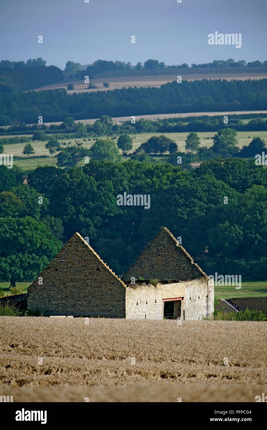 Great Britain, England, a barn in country fields Stock Photo - Alamy
