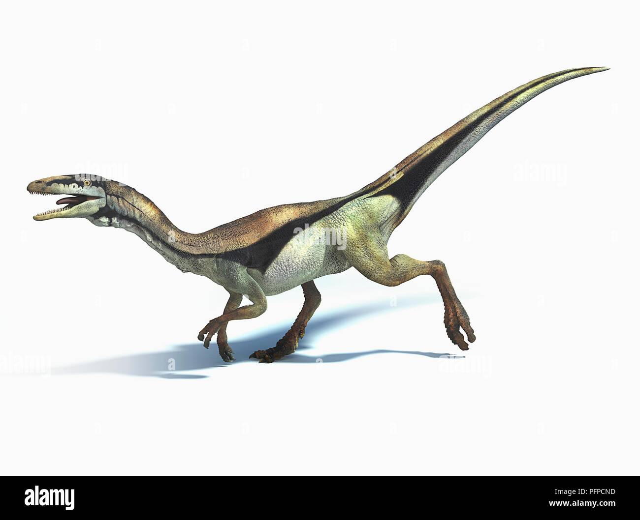 Compsognathus hi-res stock photography and images - Alamy